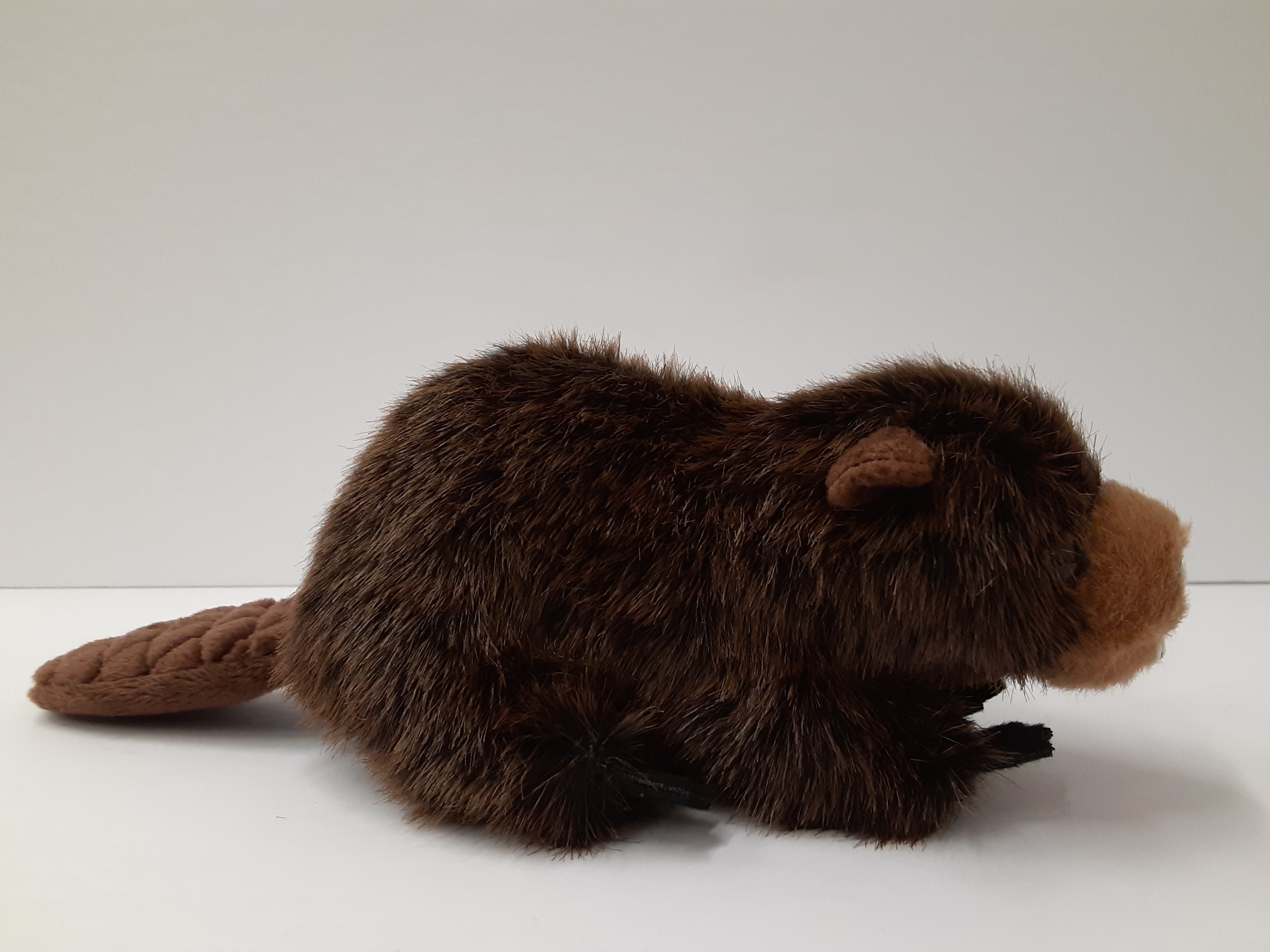 castor_naturel_peluche_350702 – Boutique du Musée canadien de l’histoire