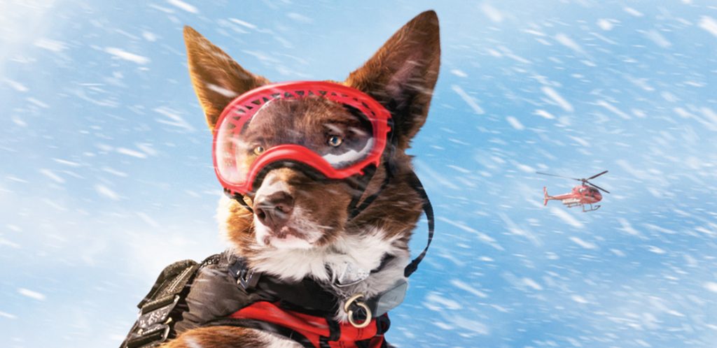 Super Chiens 3D | Musée canadien de l’histoire